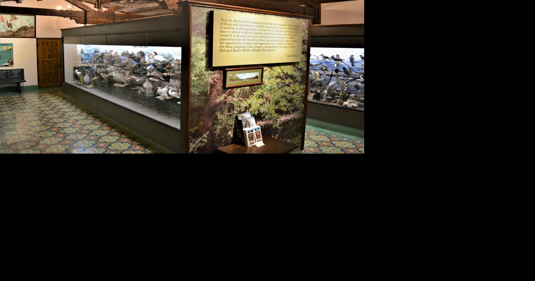 Welder Wildlife Foundation opens new natural history exhibits ...