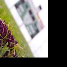 Brenham installing new field surface at Cub Stadium | Sports ...