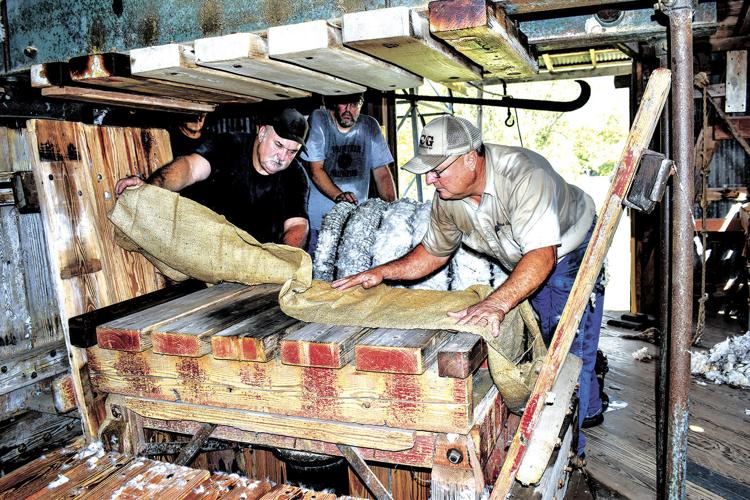 A pressing challenge: Burton Cotton Gin recover two damaged cotton ...
