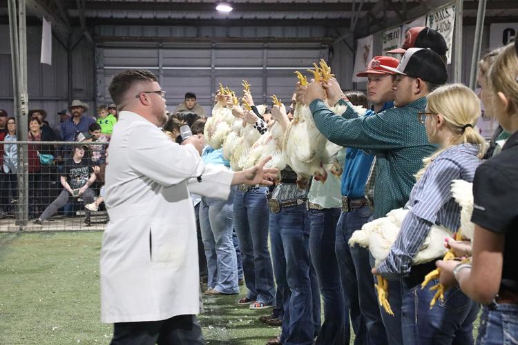 Poultry Show photo collection | | southtexasnews.com