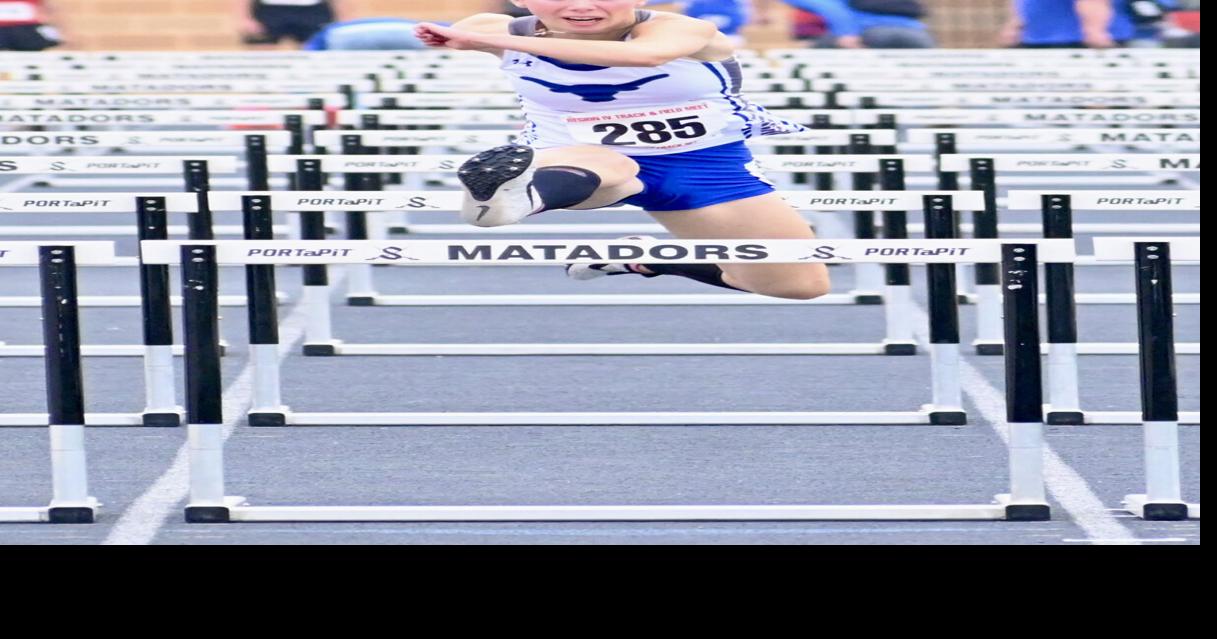 Lady Horns win gold, earn state meet berths | The Progress ...