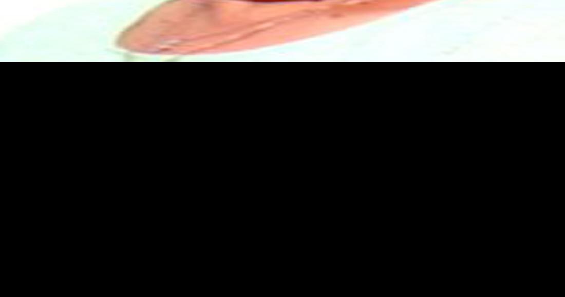 Noemi "Mimi" Salinas Obregon | Obituaries | southtexasnews.com