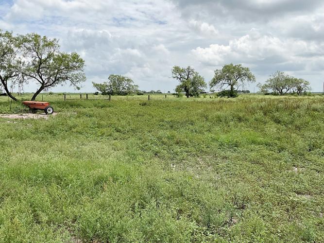 Texas farmer works with USDA NRCS to improve agricultural operations ...