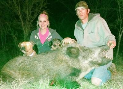 Chasing wild hogs: Couple breeds and trains dogs to hunt feral hogs ...