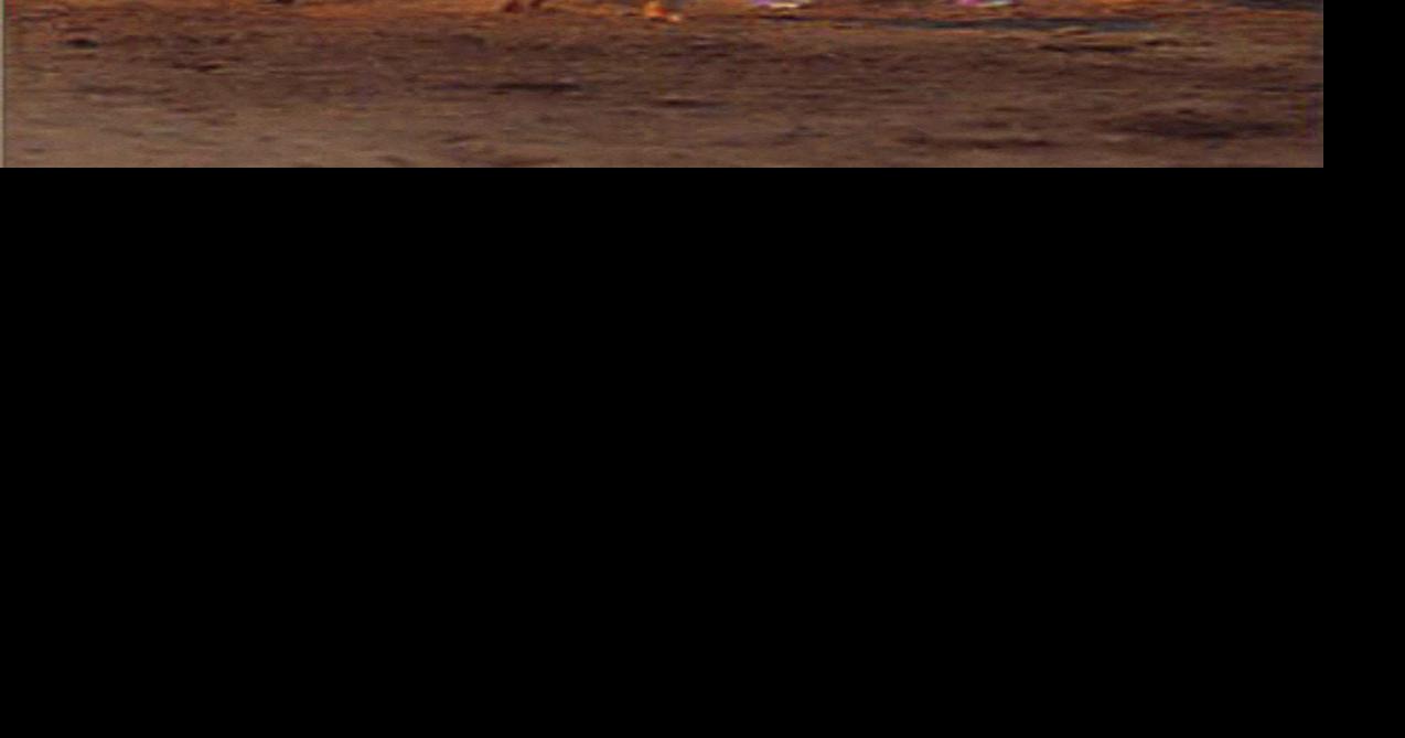 Rodeo time in Tilden | Entertainment & Society | southtexasnews.com