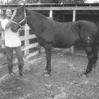 People Profile - -Former boxer cherishes memories as Ali sparring ...