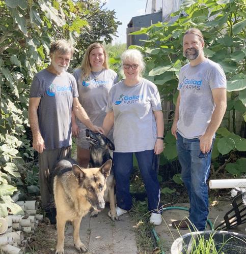Tropical fish hatchery thrives for two decades | News | southtexasnews.com