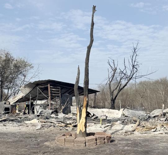 Sinton starting recovery from devastating wildfires | San Patricio ...
