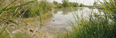 NRCS Texas announces additional sign-up period for 2024 National Water ...