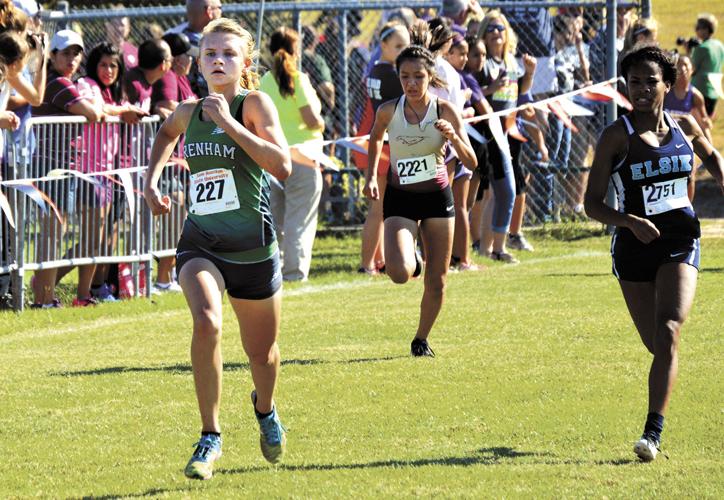 Cubettes place third, Cubs eighth at region preview | A ...