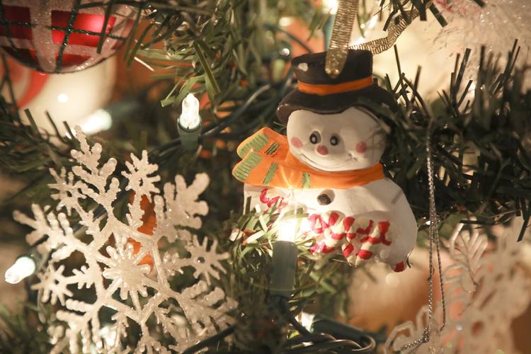 Annual Christmas Tree Forest takes hiatus for 2024 | Beeville Bee ...