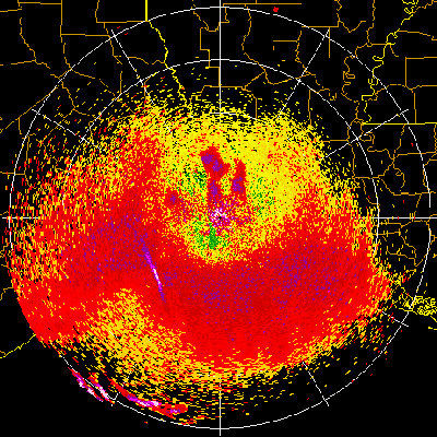 They’re back! Radar reveals arriving birds | News | southtexasnews.com