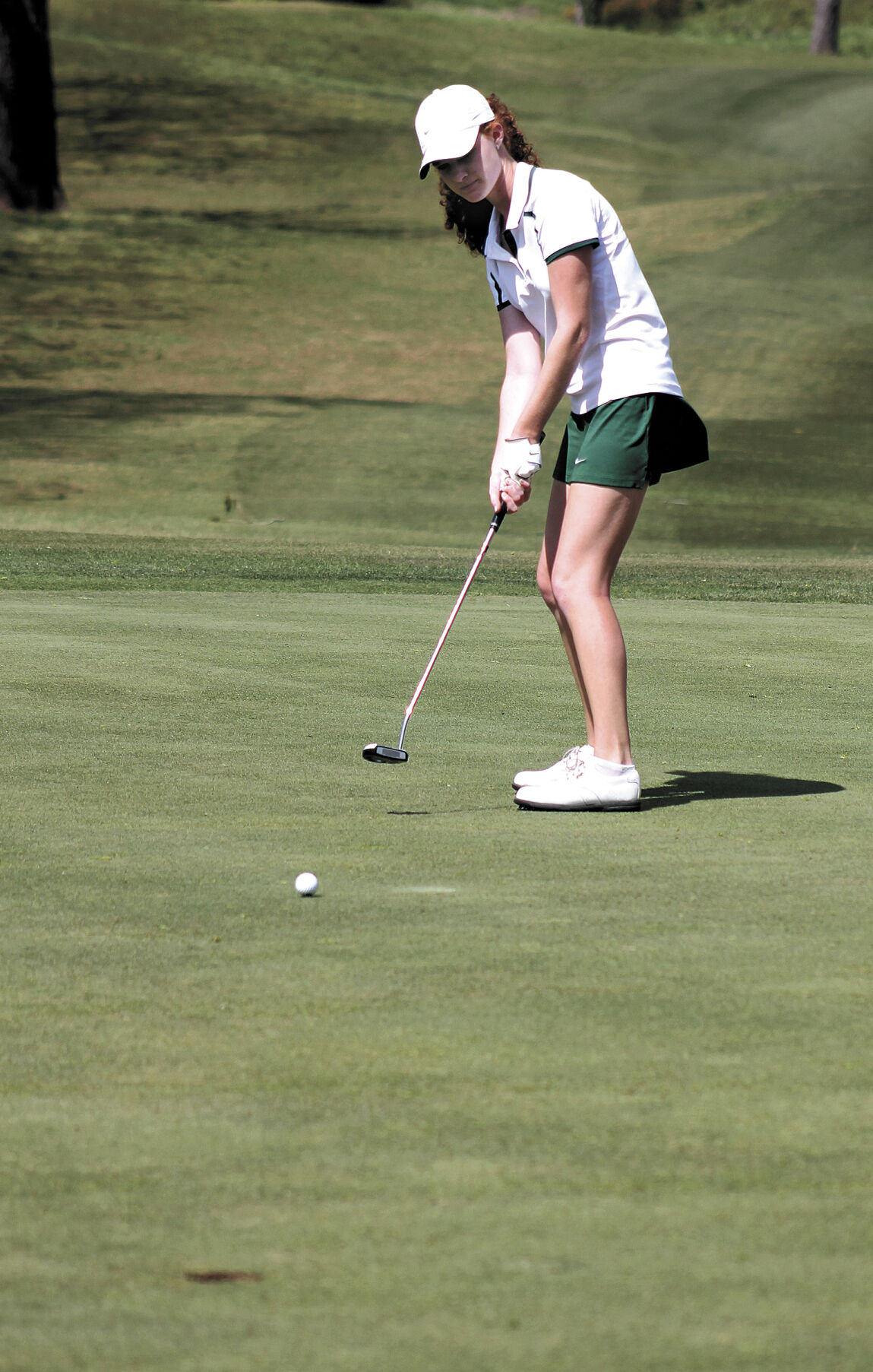 Cub golf wins district title; Cubettes finish second | Sports ...