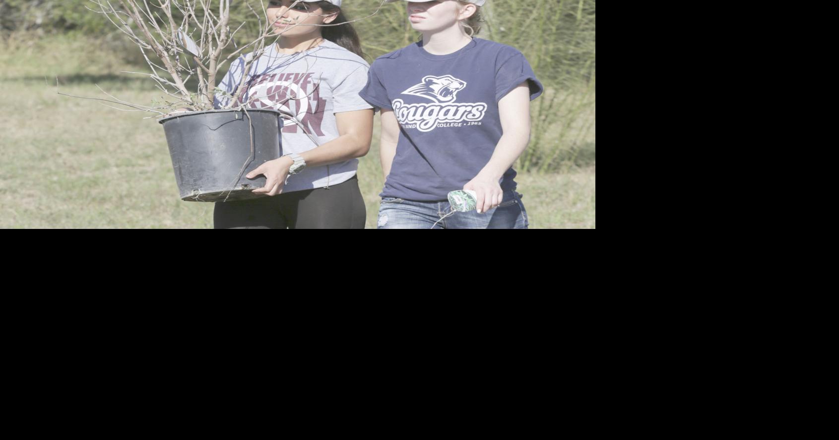 Breathing new life into Lake Louise | News | southtexasnews.com