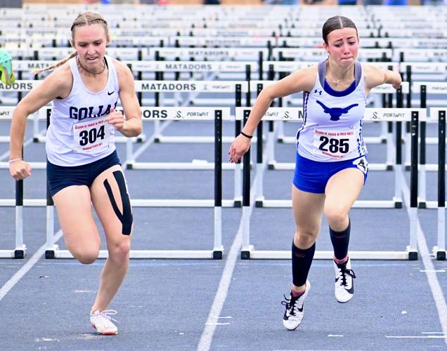 Lady Horns win gold, earn state meet berths | The Progress ...