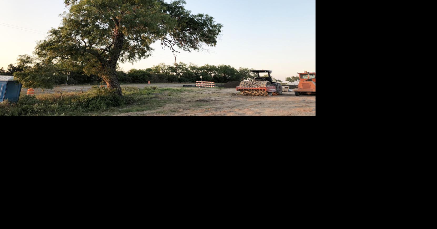 Residents rally to save historic Oakville tree | News | southtexasnews.com