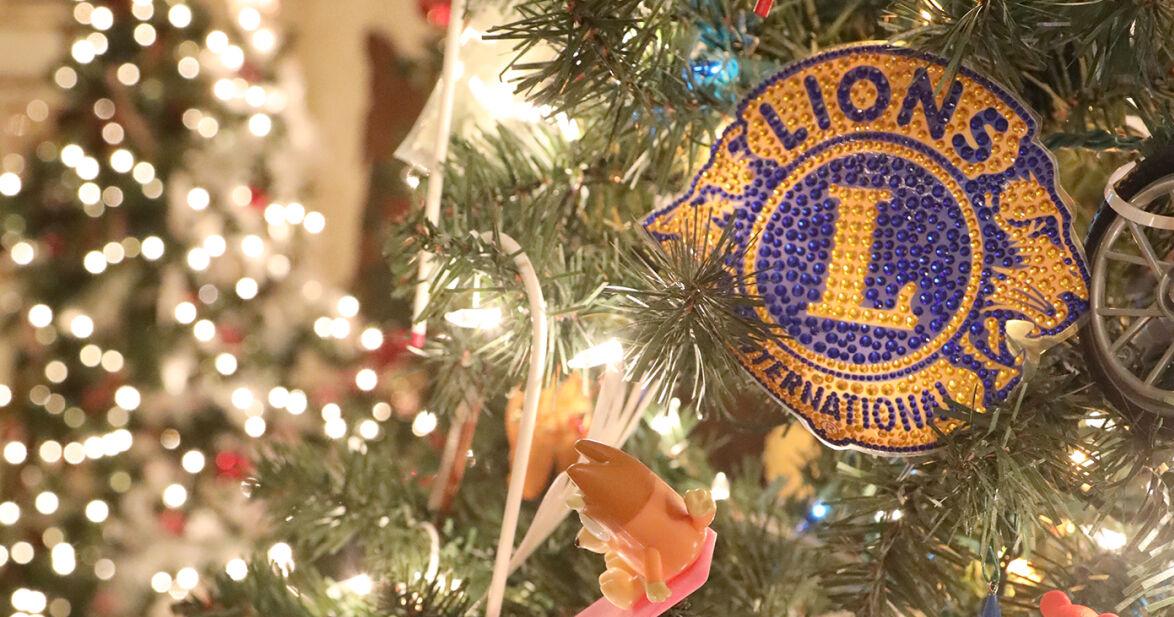 Annual Christmas Tree Forest takes hiatus for 2024 | Beeville Bee ...