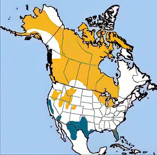 sandhill crane range