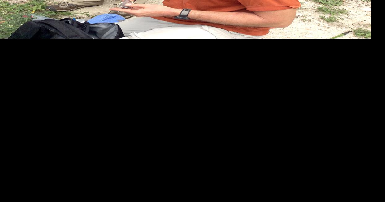 TCU scientists studying Texas horned lizards in the county this summer ...