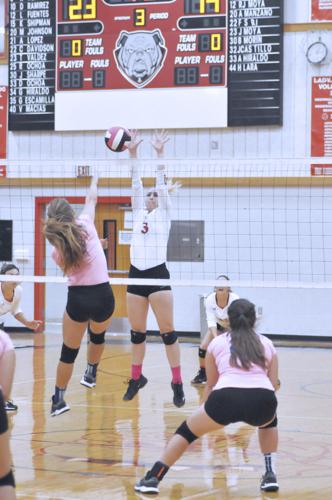 TR Lady Bulldogs overcome injury to win against Ben Bolt and Benavides ...