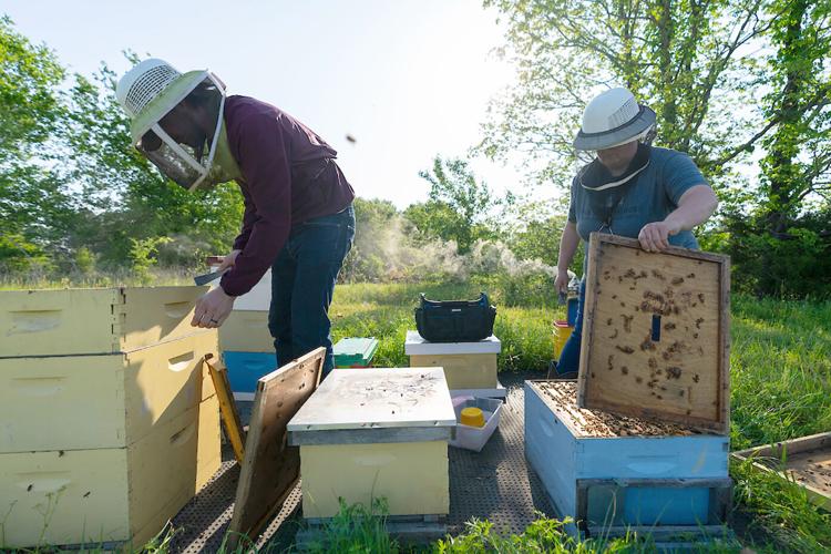 Backyard beekeeper training takes flight across Texas | Beeville Bee ...
