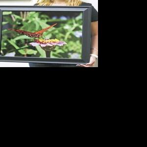 DeSimio to showcase award-winning photography | News | southtexasnews.com