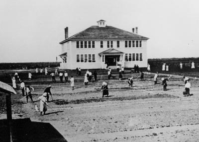 WWI Victory Gardens helped nation sow seeds of victory | Features ...