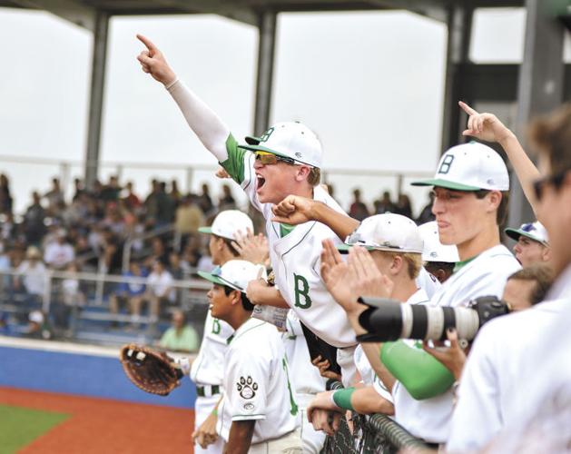 McElreath sends Brenham to regional quarterfinals with game-winning hit ...