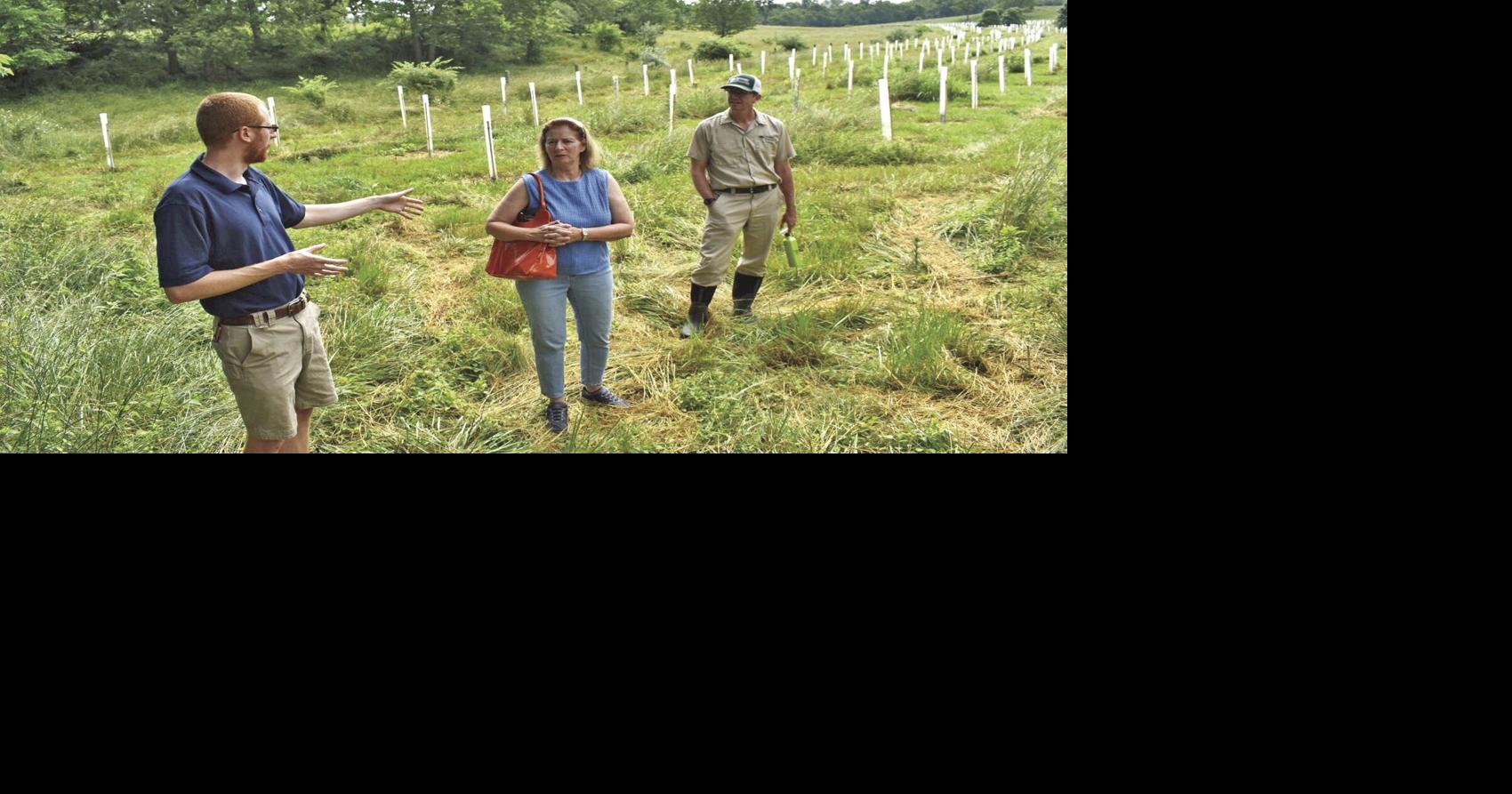 A tiny trickle with a big impact | News | spiritofjefferson.com