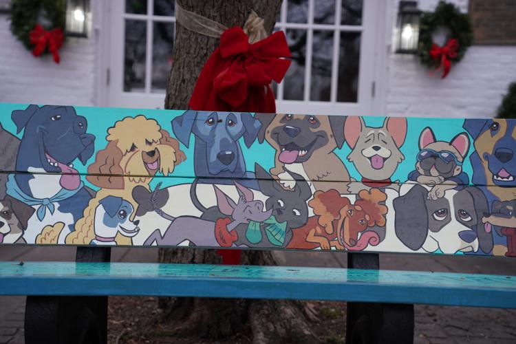 Stepping into a new platform for her art, Danielle Corsetto unveils ...