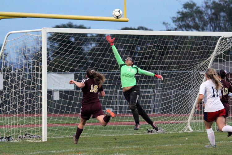 SIGHTS: Girls Soccer Section 2 Semifinals, Washington vs Jefferson ...