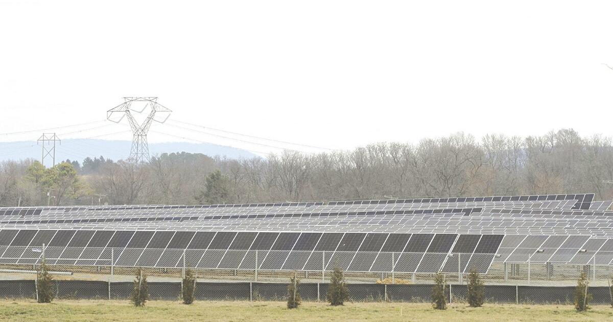 Tree buffers for solar farms eyed among ordinance adjustments | News ...