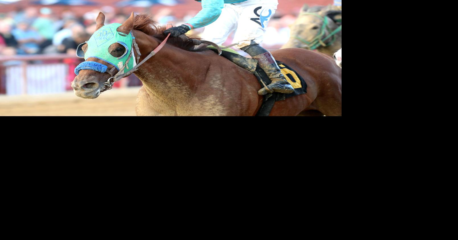 Penguin Power rallies to upset win in overnight stakes | Sports ...