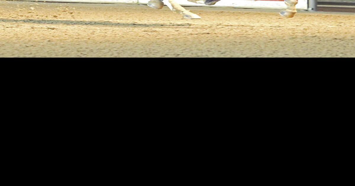 Local thoroughbred Summoning Denis wins a shocker at Charles Town Races ...