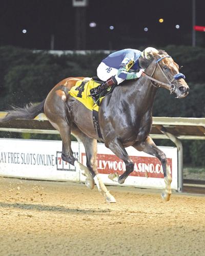 Local thoroughbred Summoning Denis wins a shocker at Charles Town Races ...