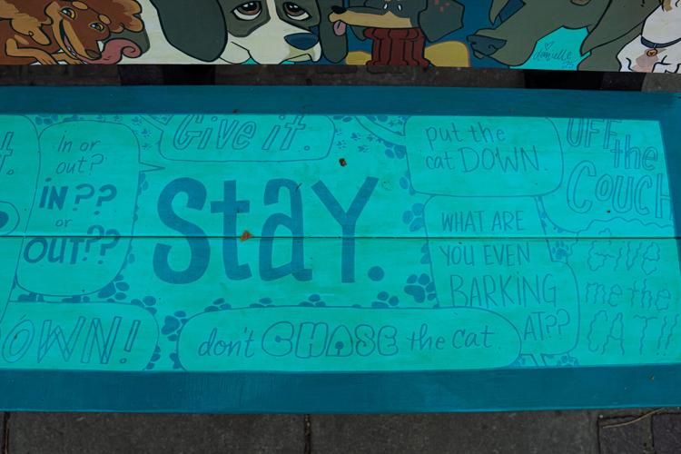 Stepping into a new platform for her art, Danielle Corsetto unveils ...