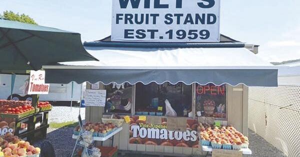 Memories and lessons from a family’s longstanding fruit stand that isn ...