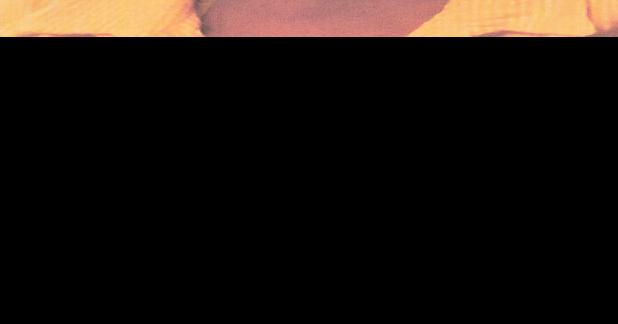 Beverly Mae Whitmore | Obituaries | spiritofjefferson.com