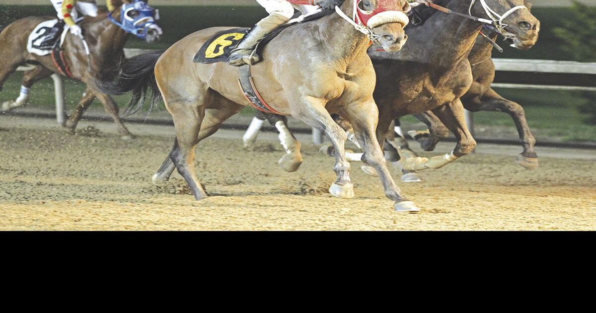 Charles Town highlights horses with stakes potential | Sports ...