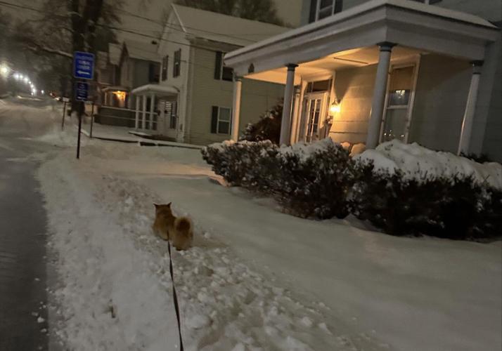 Culpeper gets heavy snowfall with more to come