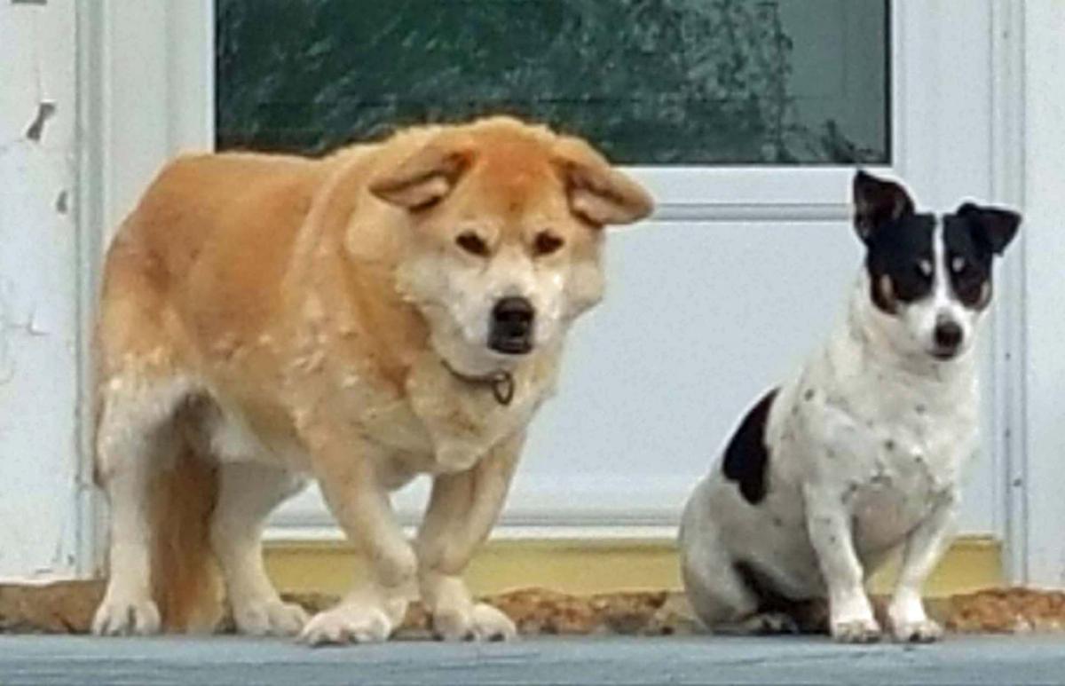 ZANN'S PLACE: Memories of summers on the farm