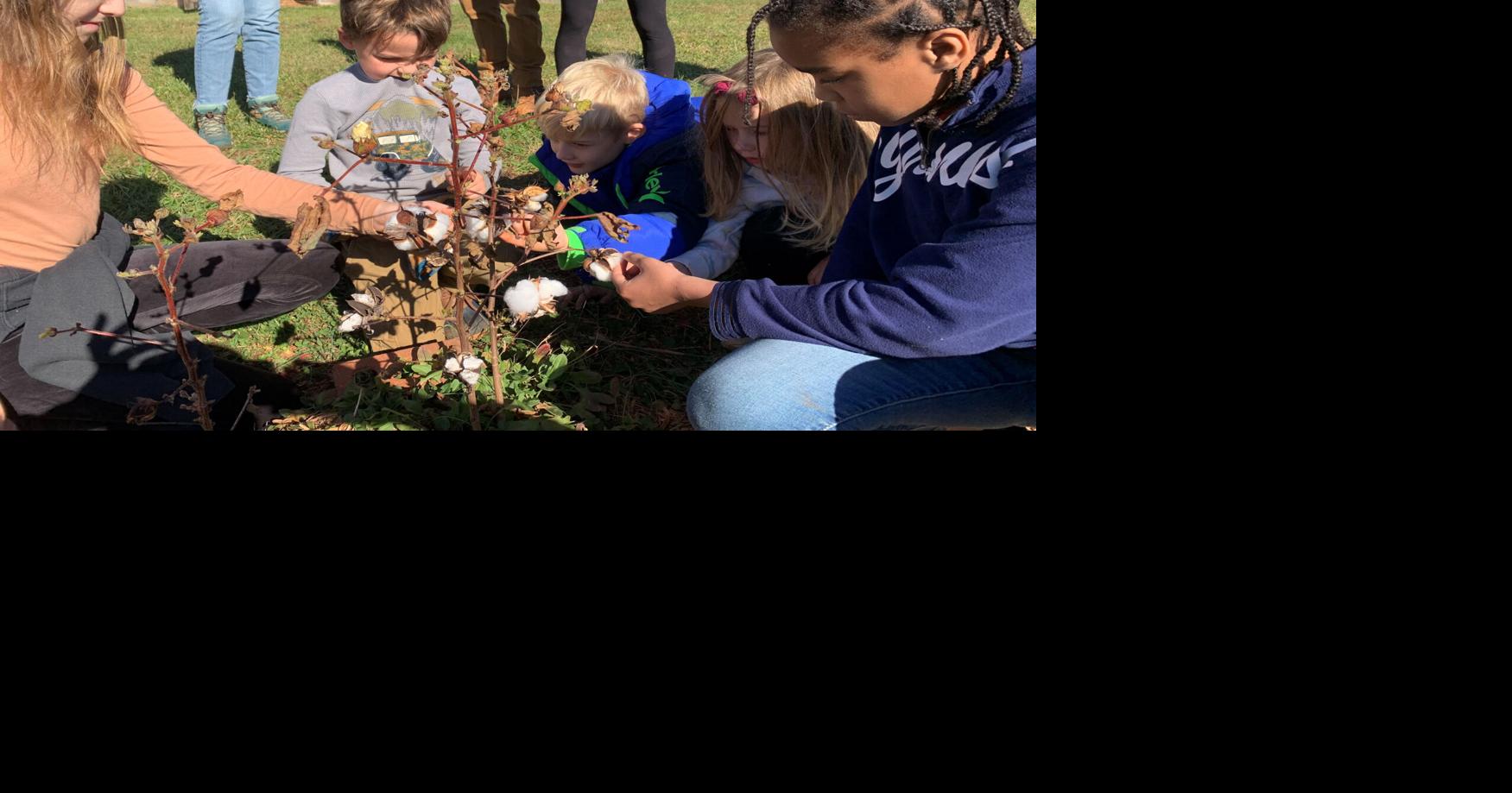 Harvesting sweet potatoes, peanuts, community in Minority & Veteran ...