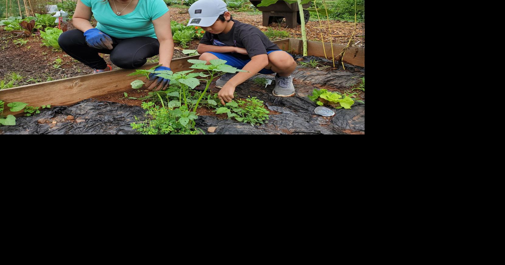 Culpeper community garden grows new recruits