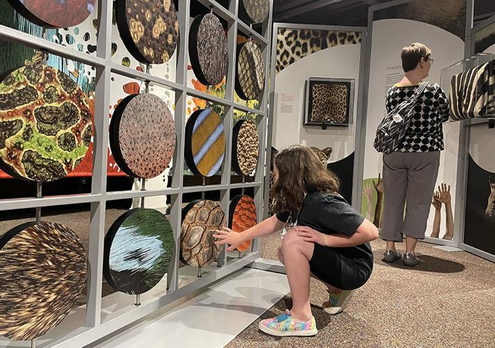 'Skin: Living Armor, Evolving Identity' exhibit comes to Science Museum ...