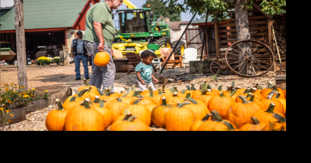28th Culpeper Harvest Days Farm Tour next weekend