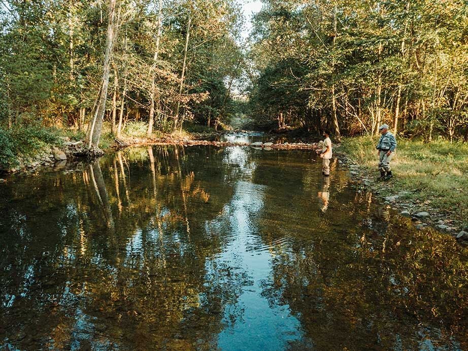 Best fishing spots in Culpeper, Virginia