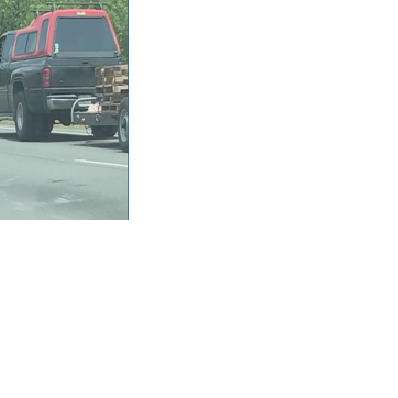 Runaway pigs wreak havoc on Interstate 95 in Spotsylvania, Caroline