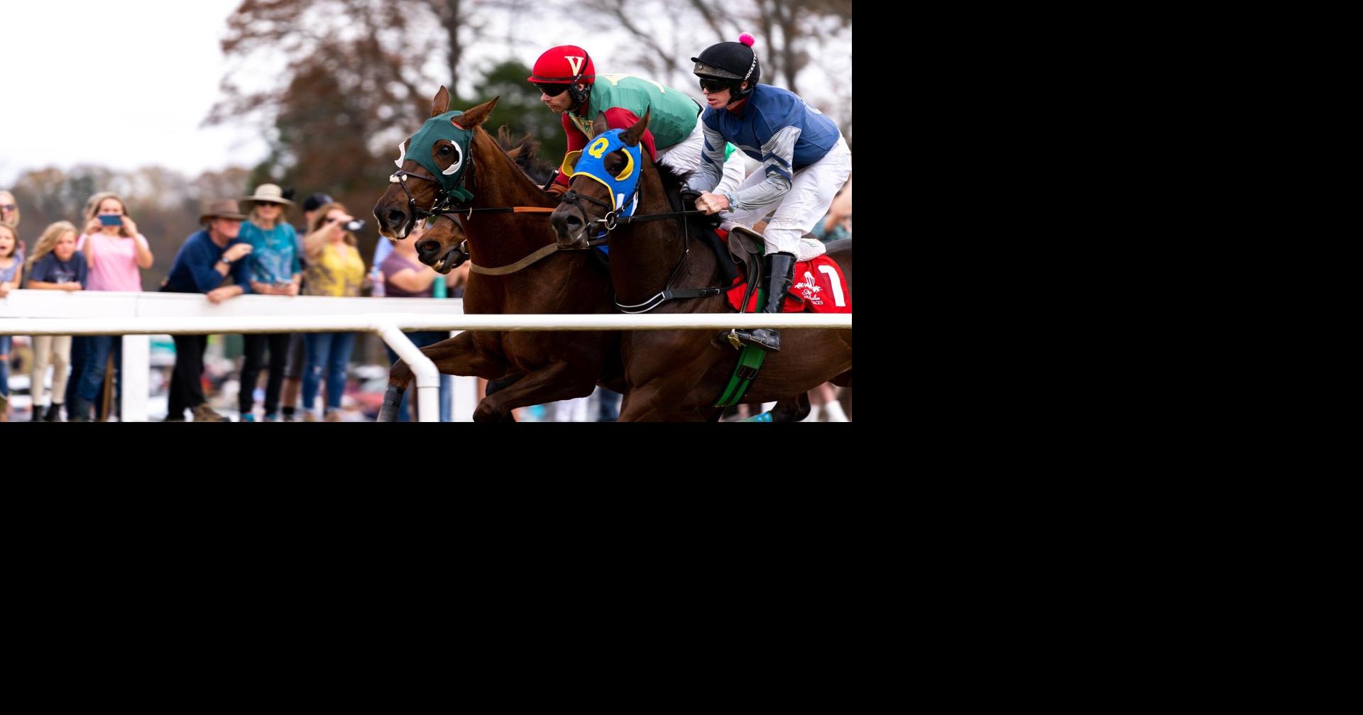 From tailgates to terriers, Montpelier Hunt Races offers a complete day ...