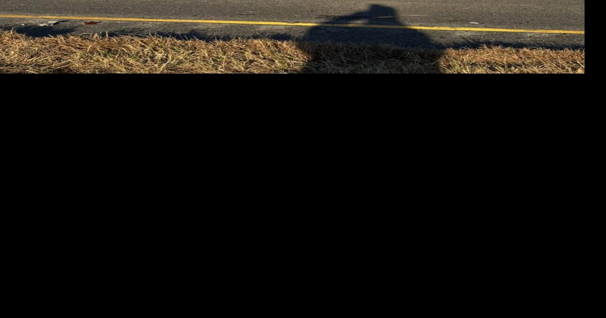 Car, school bus collide last week in Greene County