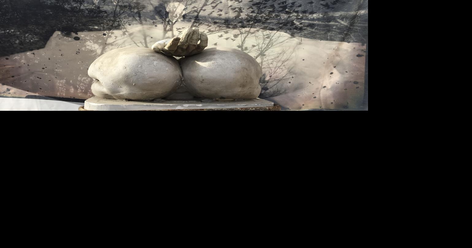 Exhibit Invisible Birds detail